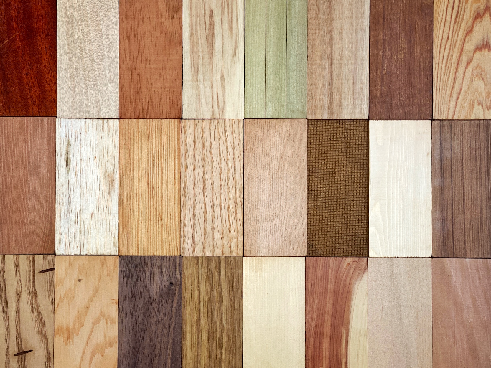 Exploring Wood Species: Choosing the Right Wood for Your Projects ...